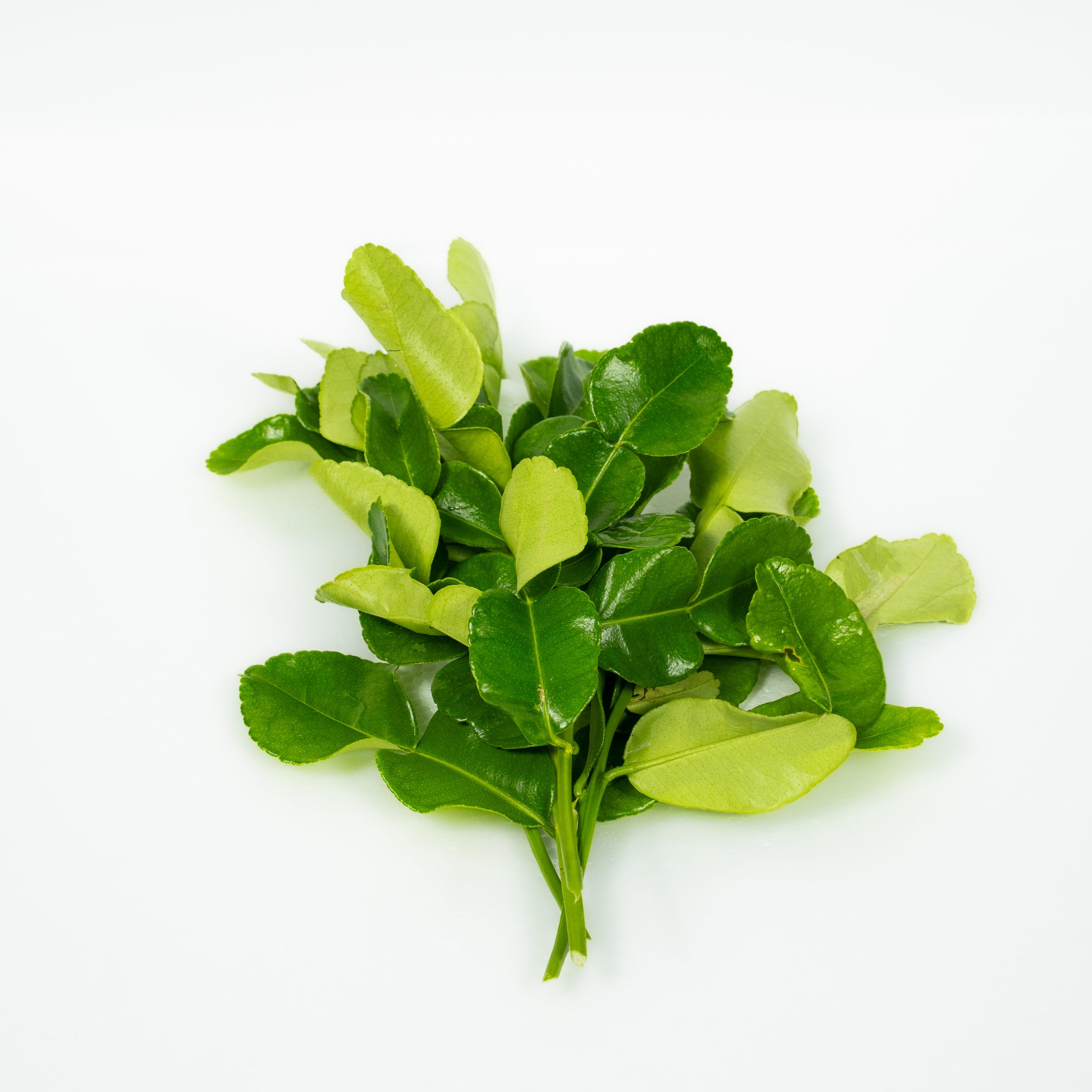 Kiffir lime leave – International Fruits (Bangkok)