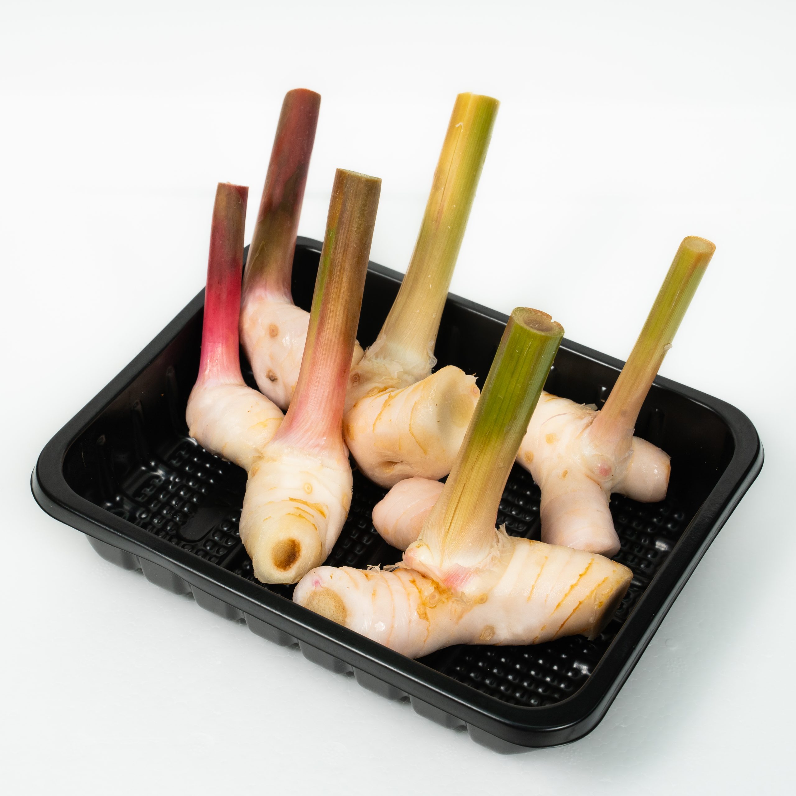 Galanga – International Fruits (Bangkok)